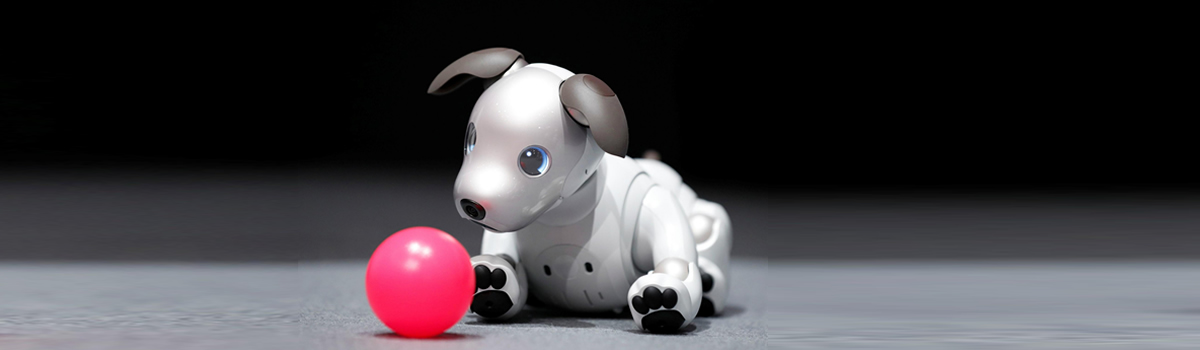Aibo robot dog from Sony